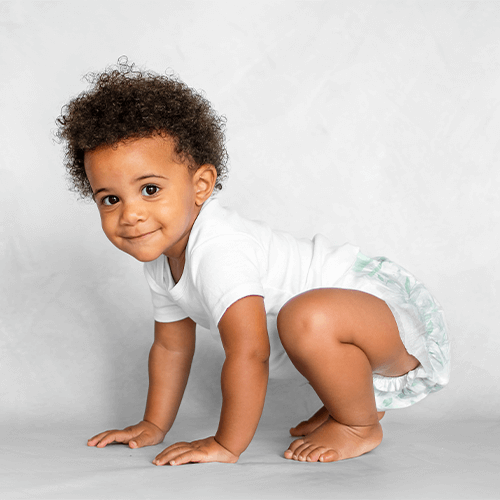 Case Studies | Creatively Squared